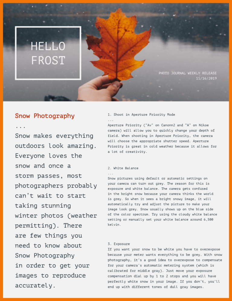 32 Free Printable A4 Newsletter Templates For School And Community ...