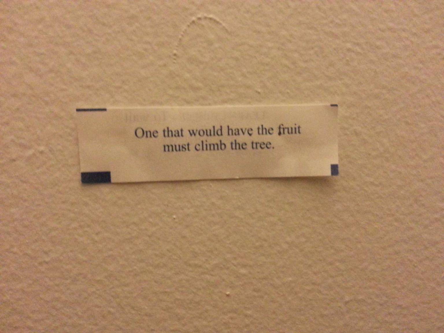 40 Best Chinese Fortune Cookies' Quotes & Sayings About Life