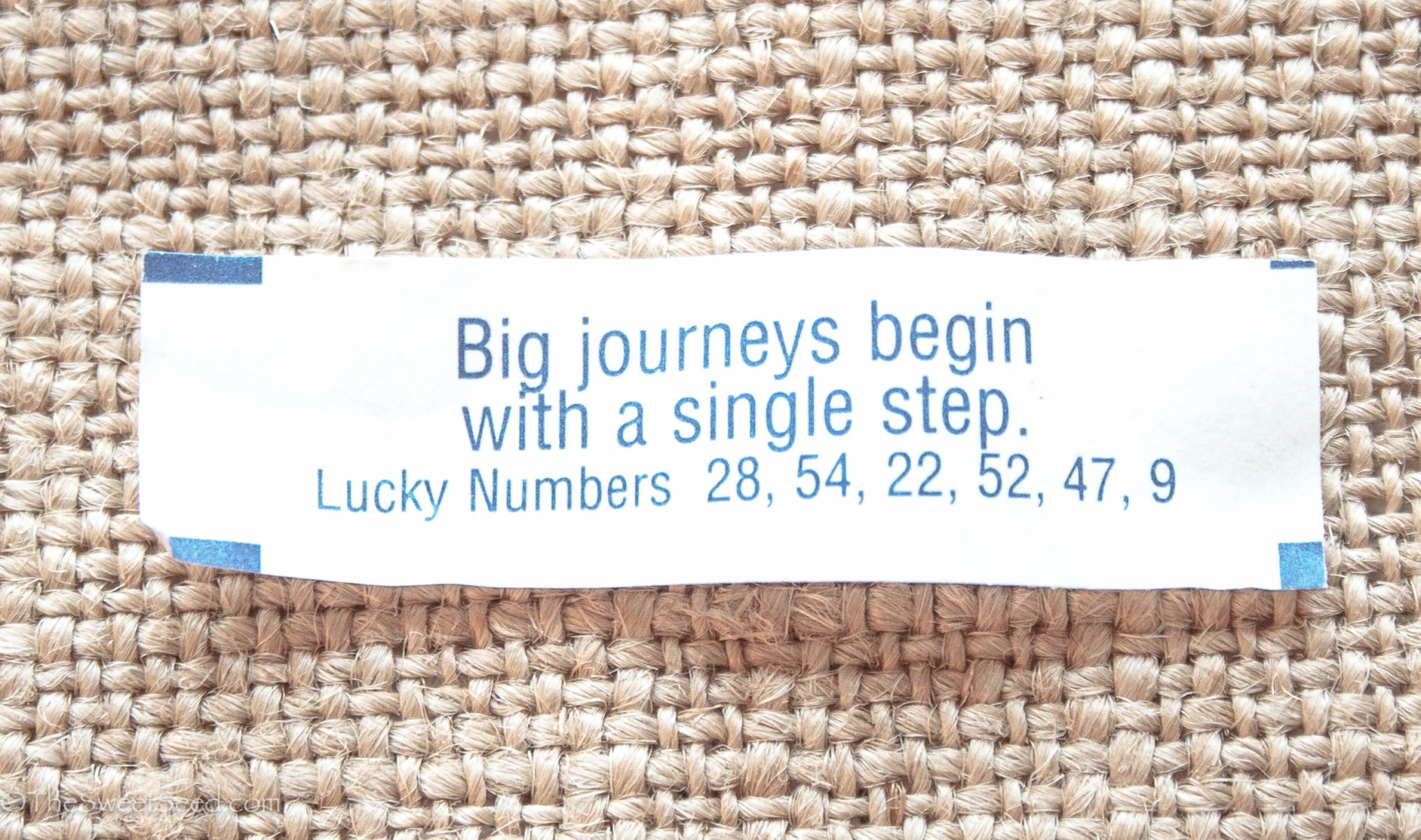 40 Best Chinese Fortune Cookies' Quotes & Sayings About Life