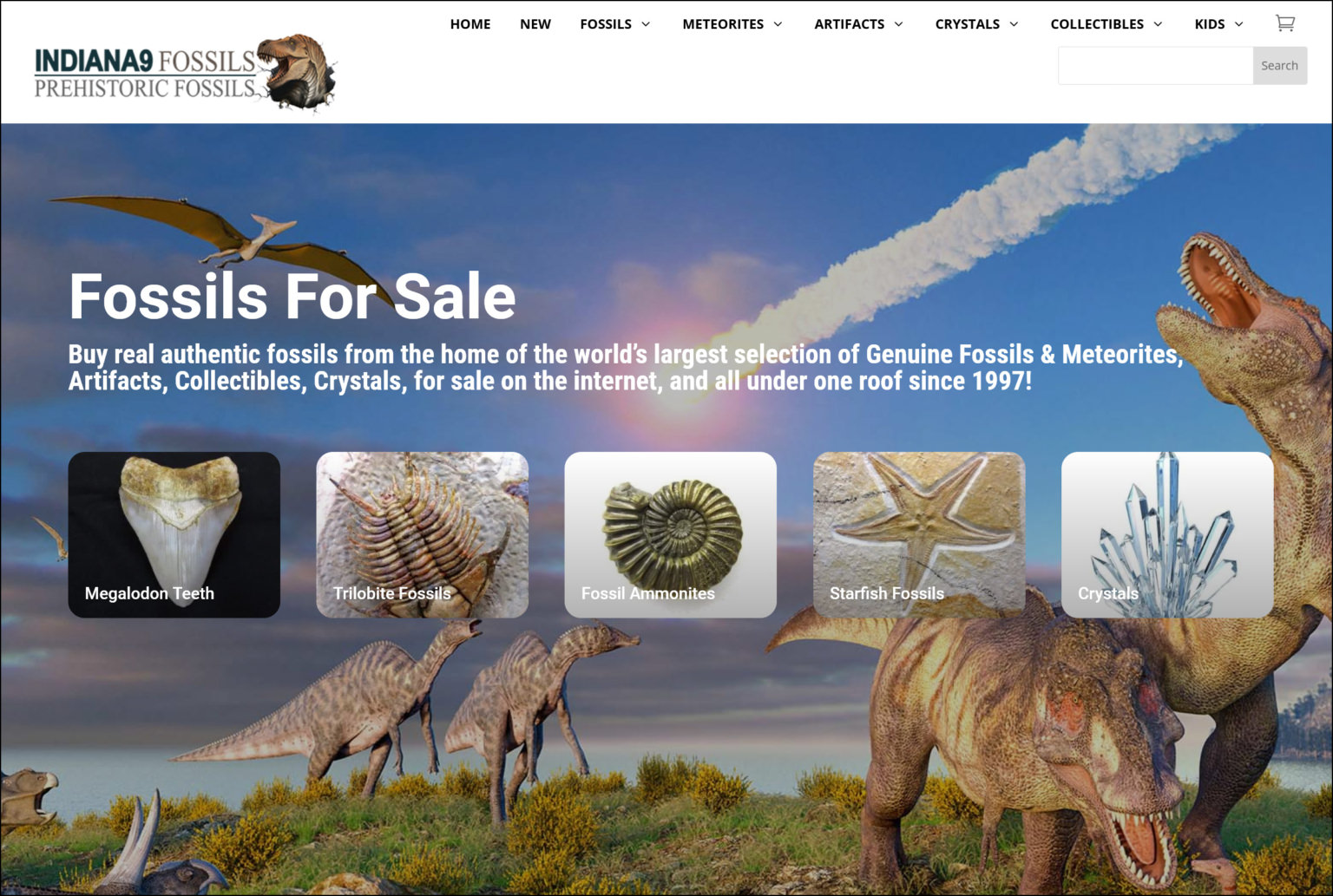 6 Authentic Fossil Selling Websites - 100% Genuine No Fakes